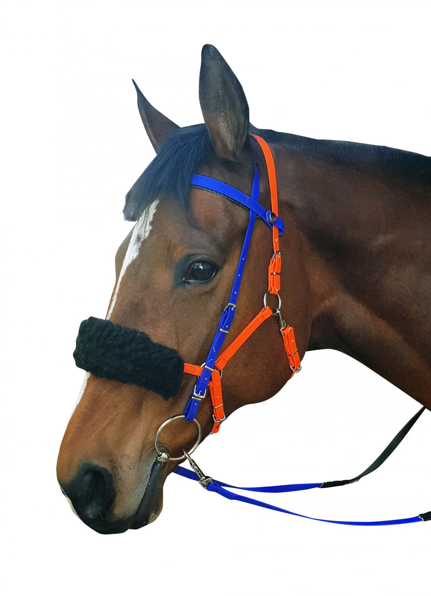 Bridle Endurance Halter Combo – All Aces Tack and Pets